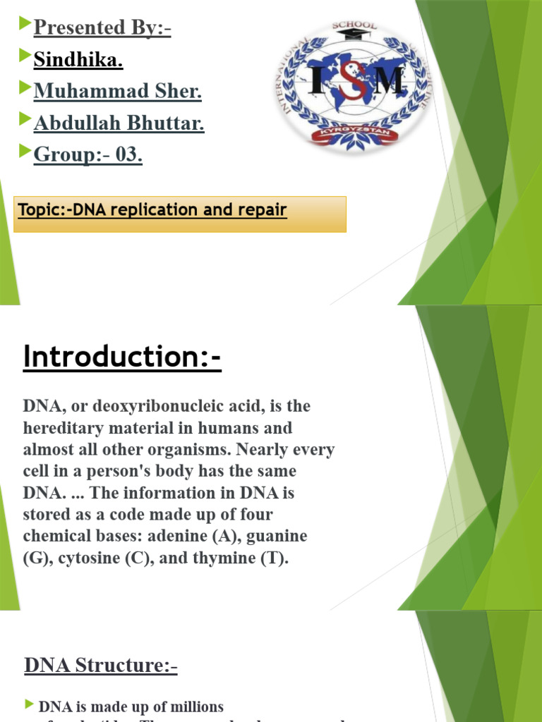 DNA Replication and Repair. | PDF | Dna Replication | Dna
