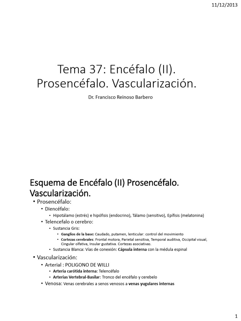 Tema 37. Encefalo II. Prosencéfalo y vascularización cerebral. | PDF | Ganglios basales | Cerebro