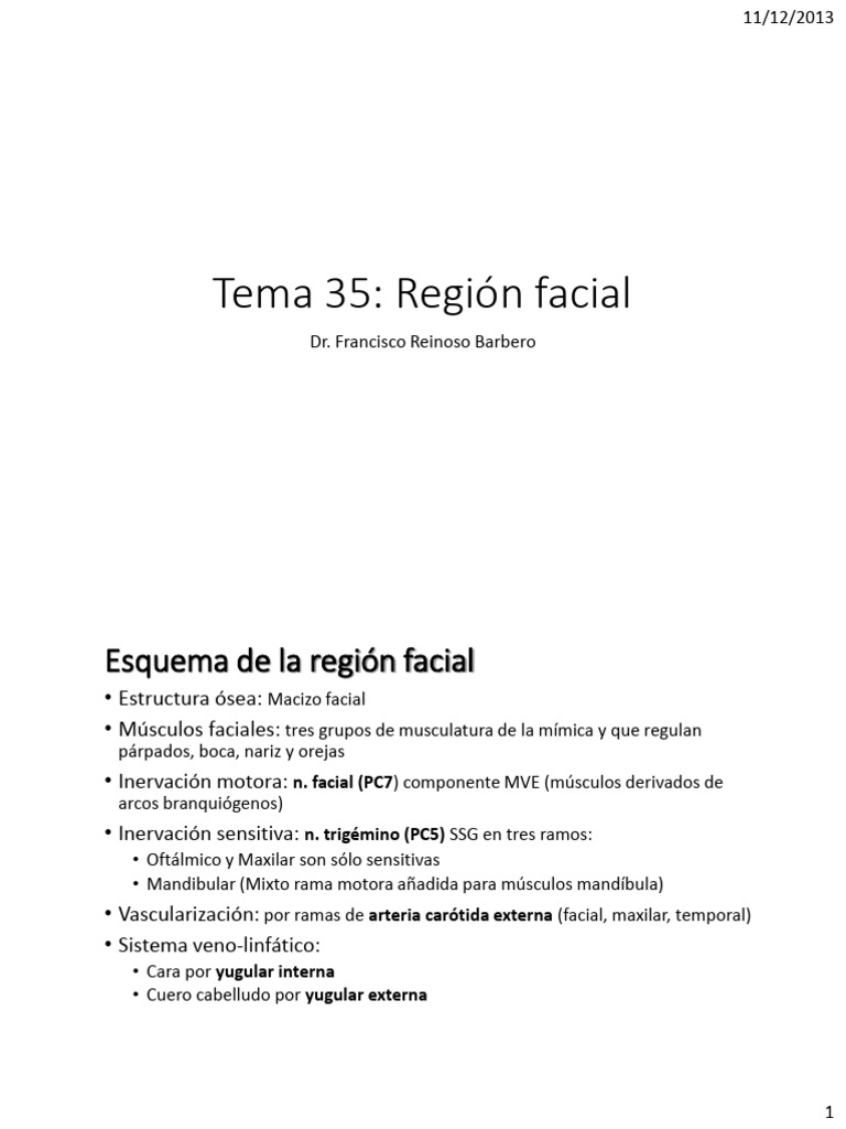 Anatomía de la Región Facial | PDF | Anatomía humana | Cabeza y cuello ...