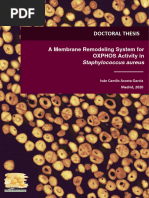 Catalase Experiment-Lab Manual | PDF | Enzyme | Catalysis