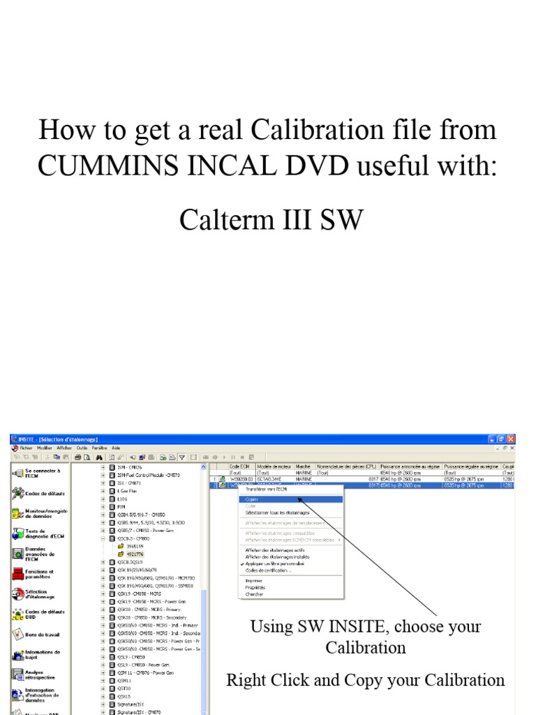 Insite Cal To Caltermiii Cal | PDF | Business | Computers