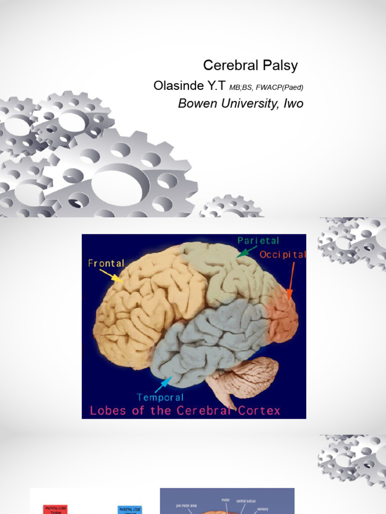 Cerebral Palsy | PDF | Cerebral Palsy | Neurology