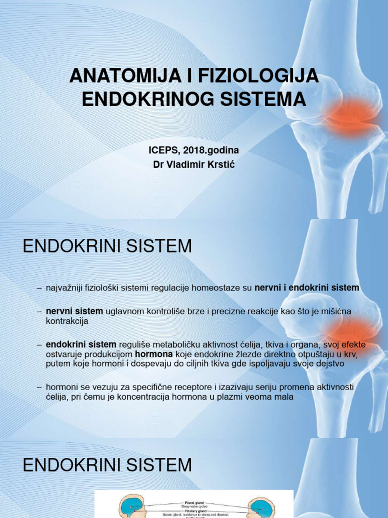 Endokrini Sistem | PDF