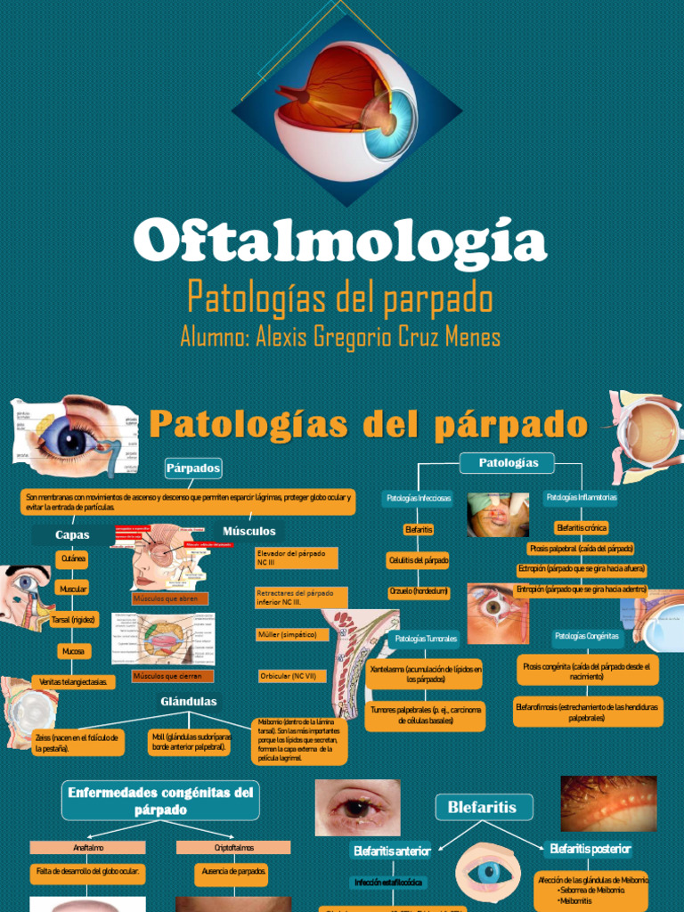Patologias Del Parpado | PDF | Oftalmología | Medicina