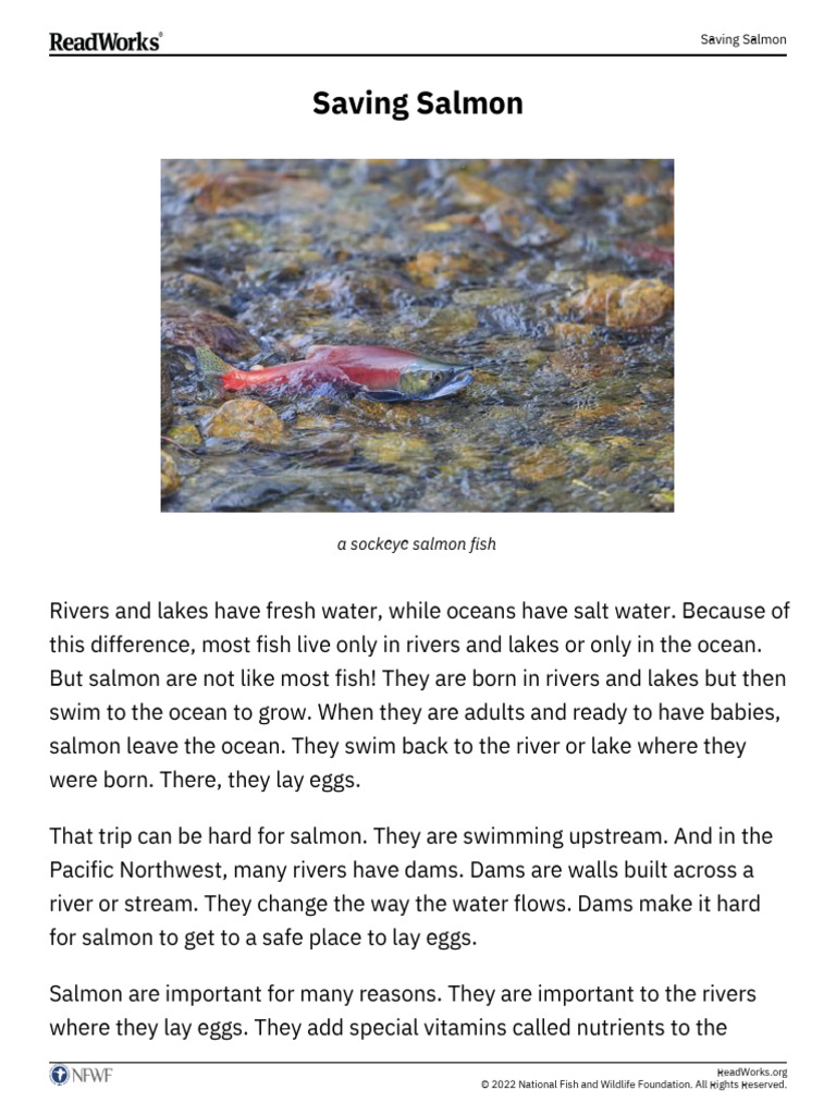 Salmons | Download Free PDF | Salmon | Natural Environment