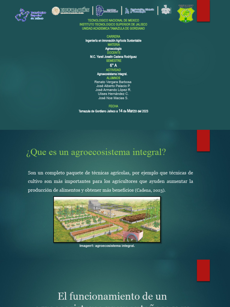 agroecosistemas integrales | PDF | Agroecología | Agricultura