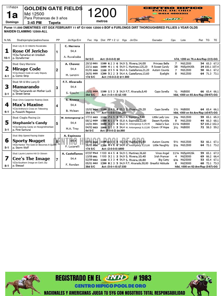 GG 20240211 | PDF | Horse Racing | Thoroughbred Racehorses