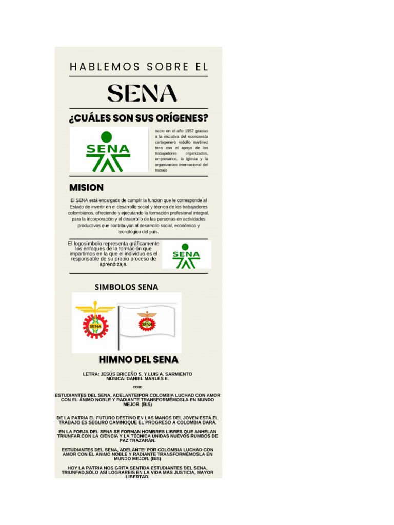 Infografia Del Sena | PDF