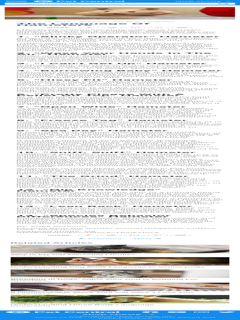 The Language of Hamsters | PDF | Pet