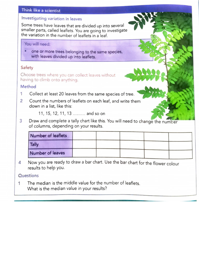 Inheritance Exercise | PDF Inheritance Exercise | PDF