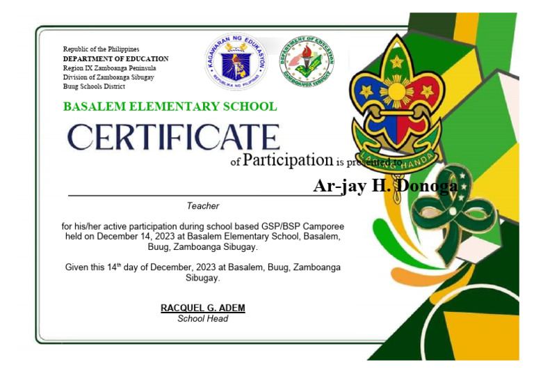 Bsp Gsp Certificate | PDF