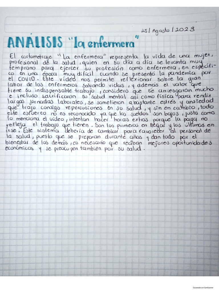 Análisis La Enfermera | PDF