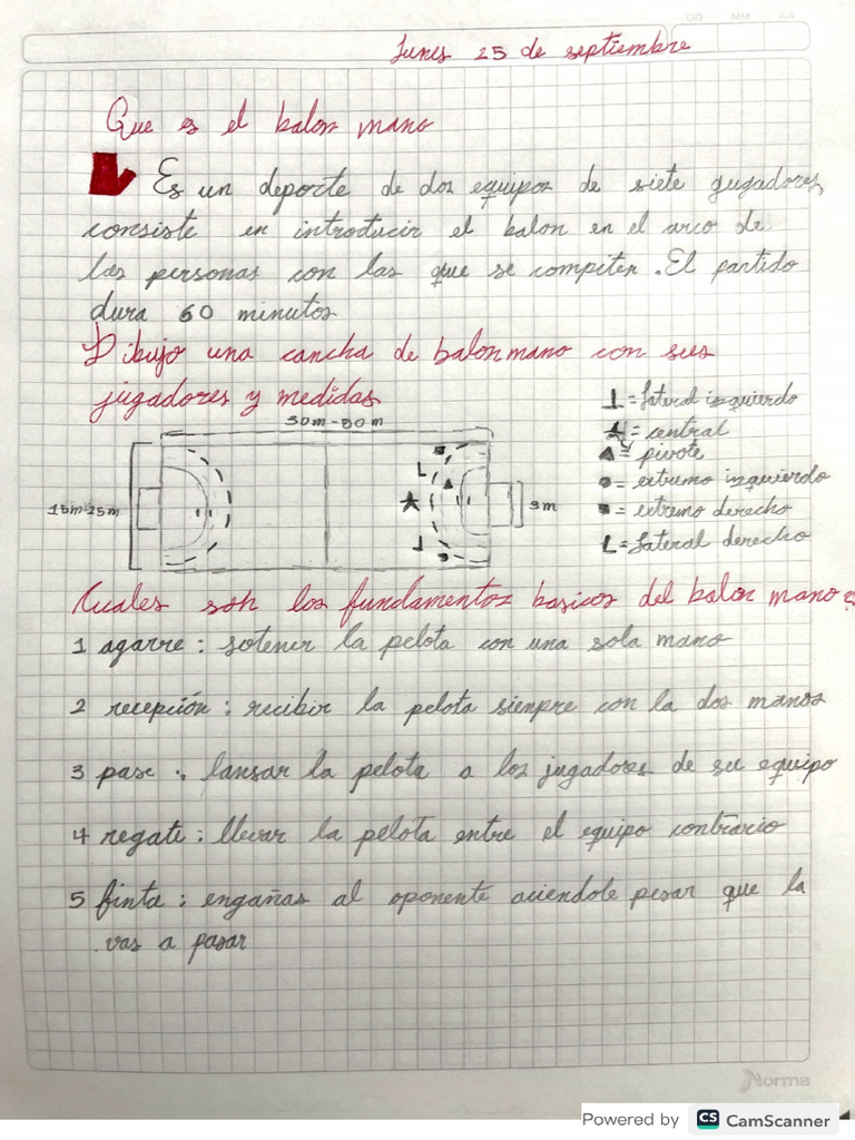 Actv de Edc Fisica Ana Lucia | PDF