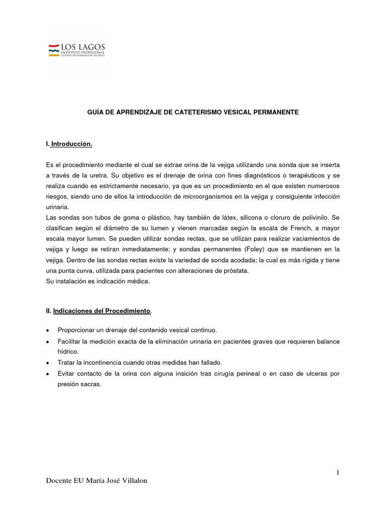Guía Instalacion Sonda Vesical CFT | PDF | Sistema urinario | Infección del tracto urinario