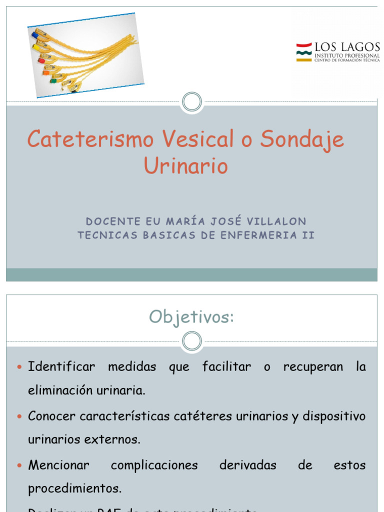 Cateterismo Vesical o Sondaje Urinario CFT | PDF | Sistema urinario ...