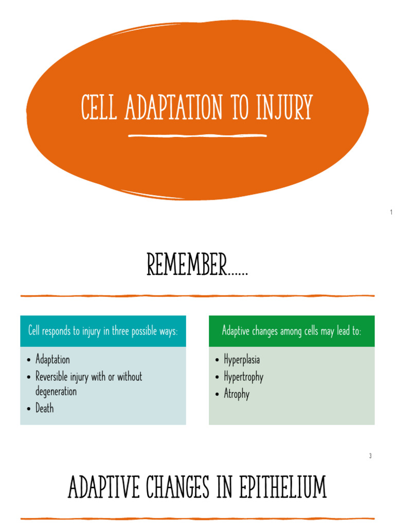 Cell Responses To Injury - Adaptation | PDF | Adipose Tissue | Medical ...