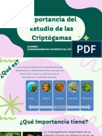 Ejemplos de Plantas Criptógamas | PDF | Plantas | Algas