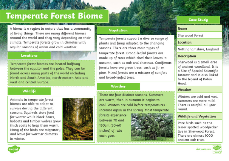 Temperate Forest Biome | PDF | Forests | Temperate Climate