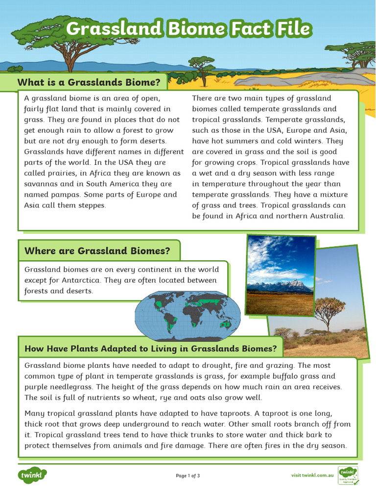 Grassland Biome Fact File | PDF | Grassland | Trees