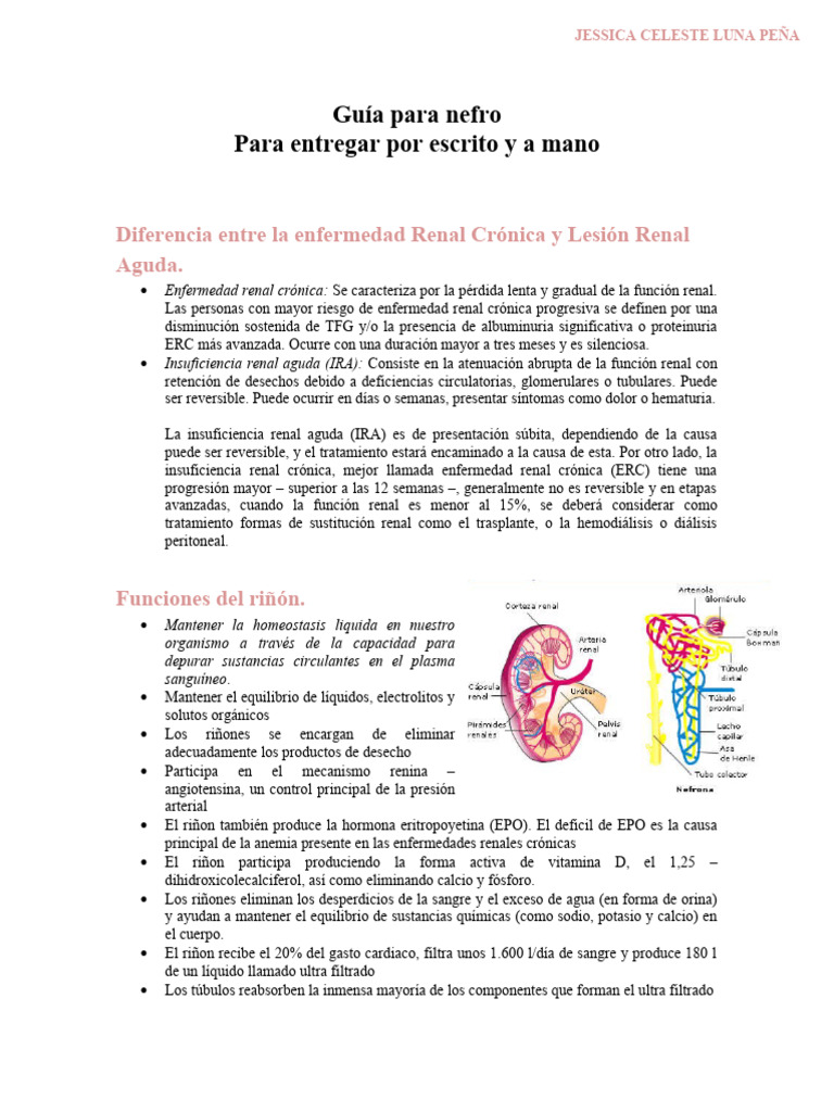 Guia nefro | PDF