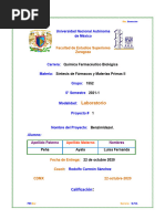 BENZAMINA | PDF | Amida | Amoníaco