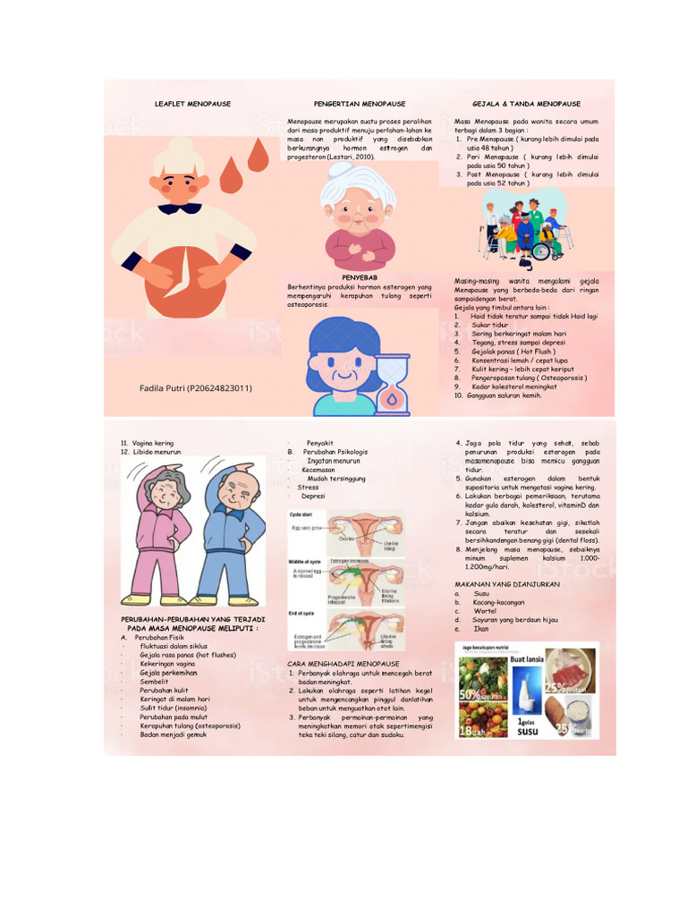 Leaflet Stase 7 (Klimakterium) | PDF