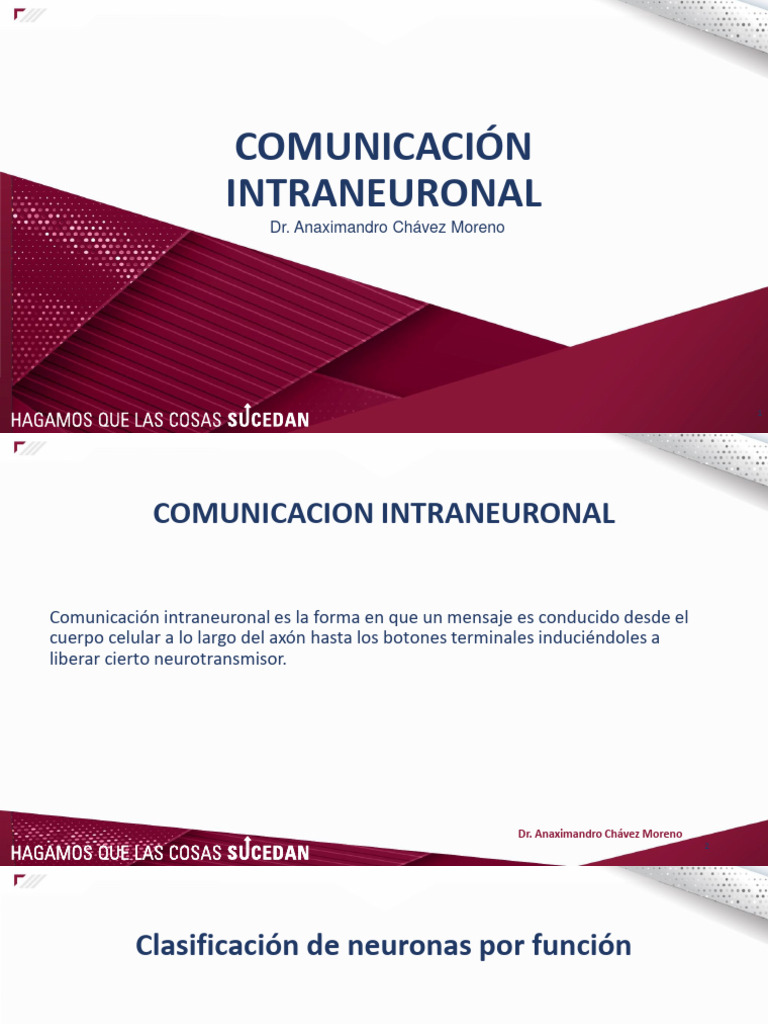 C1 Comunicación Intraneuronal | PDF | Potencial de acción | Neurona