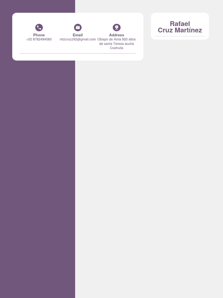 Rafael Resume | PDF