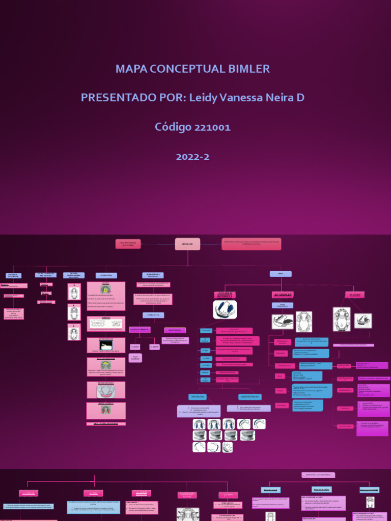 MAPA BIMLER | PDF | Diente | Anatomia dental
