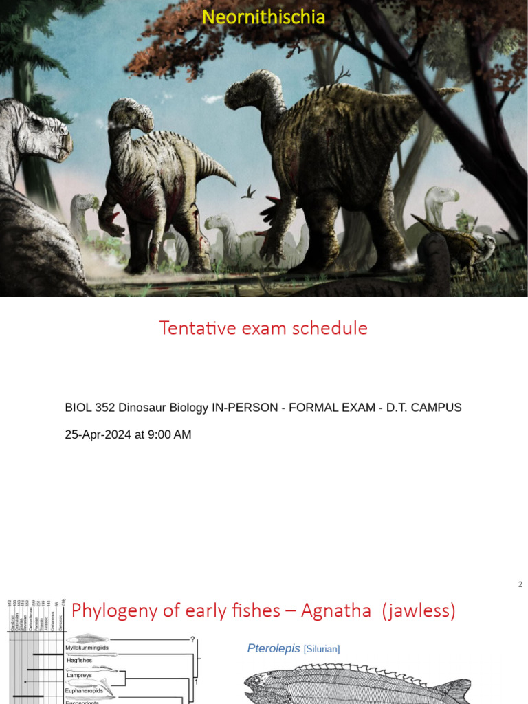 07 Neornithischia | PDF | Jaw