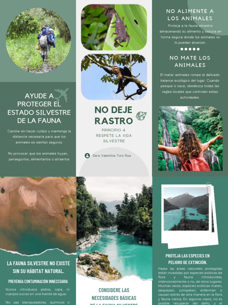 Folleto No Deje Rastro | Descargar gratis PDF | Especies introducidas ...