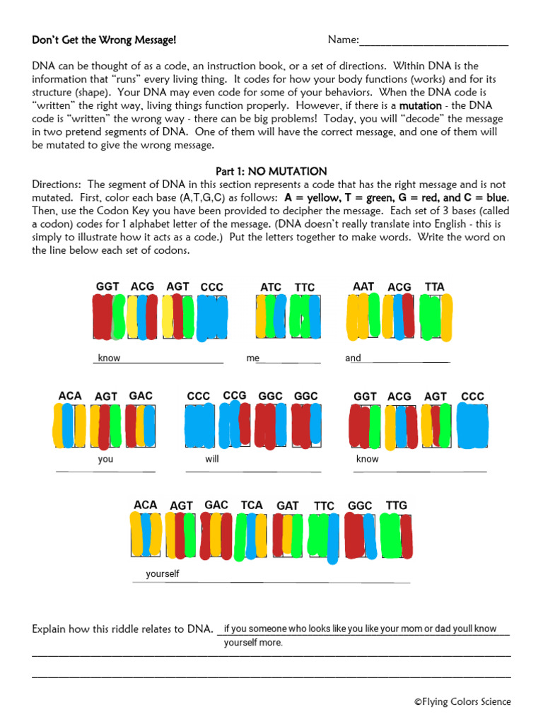 Decoding DNA: Understanding Mutations | PDF | Genetic Code | Biology
