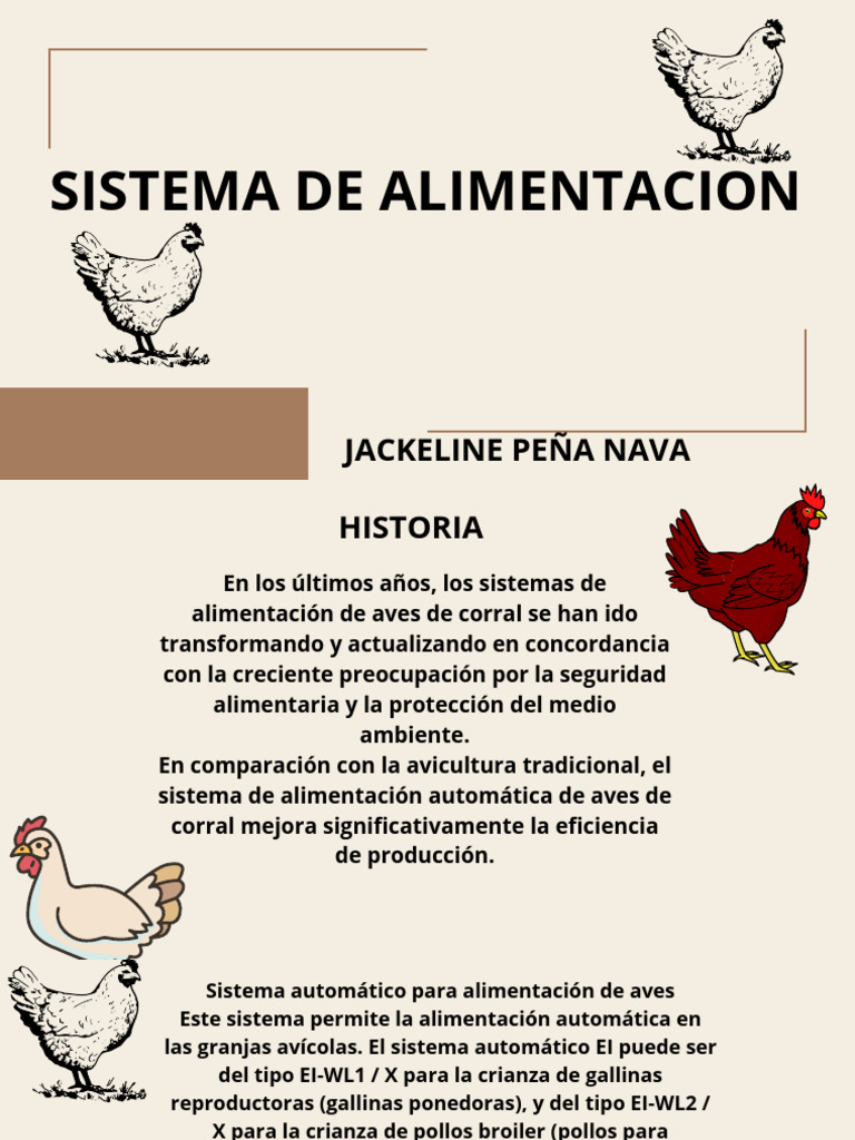 Presentación de Aves | PDF | Pollo | Avicultura