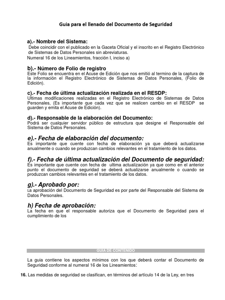 Guia para El Llenado Del Documento de Seguridad | PDF