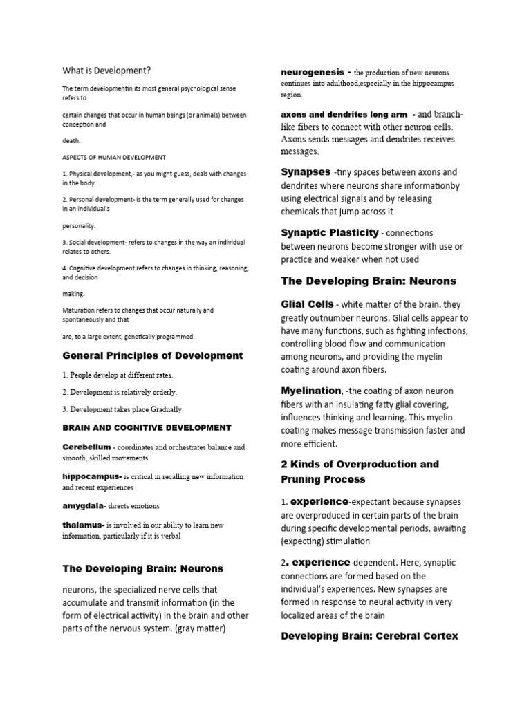 What Is Development | PDF | Axon | Neuron