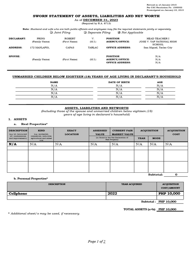 Saln 2023 | PDF | Net Worth | Business