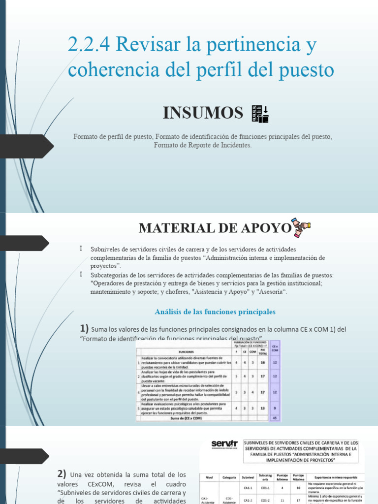 Pertinencia y Coherencia Del Perfil Del Puesto, Consolidación Del ...