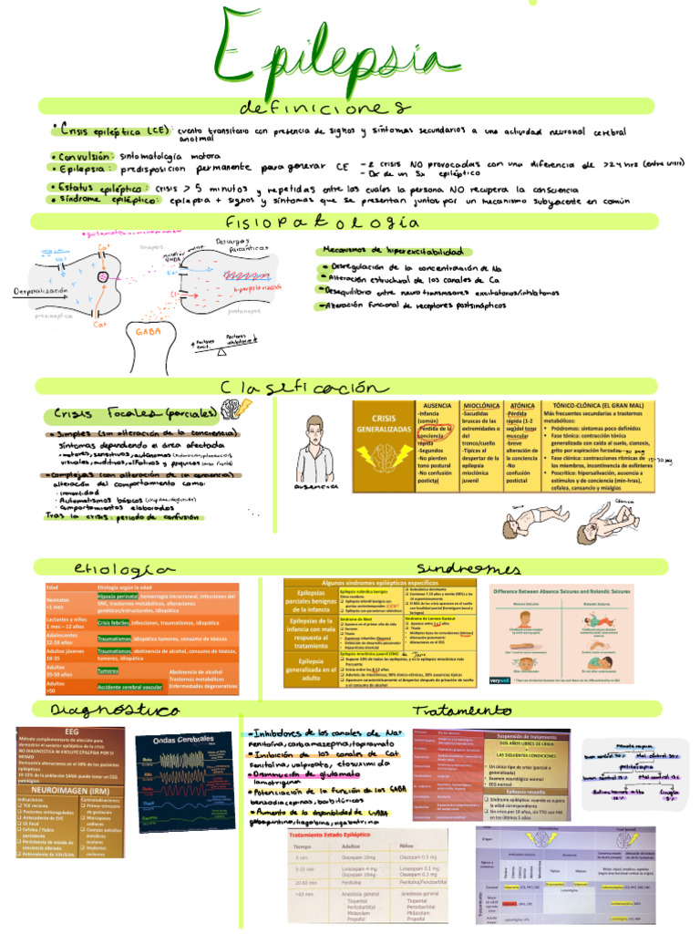 Epilepsia | PDF | Epilepsia | Neurociencia