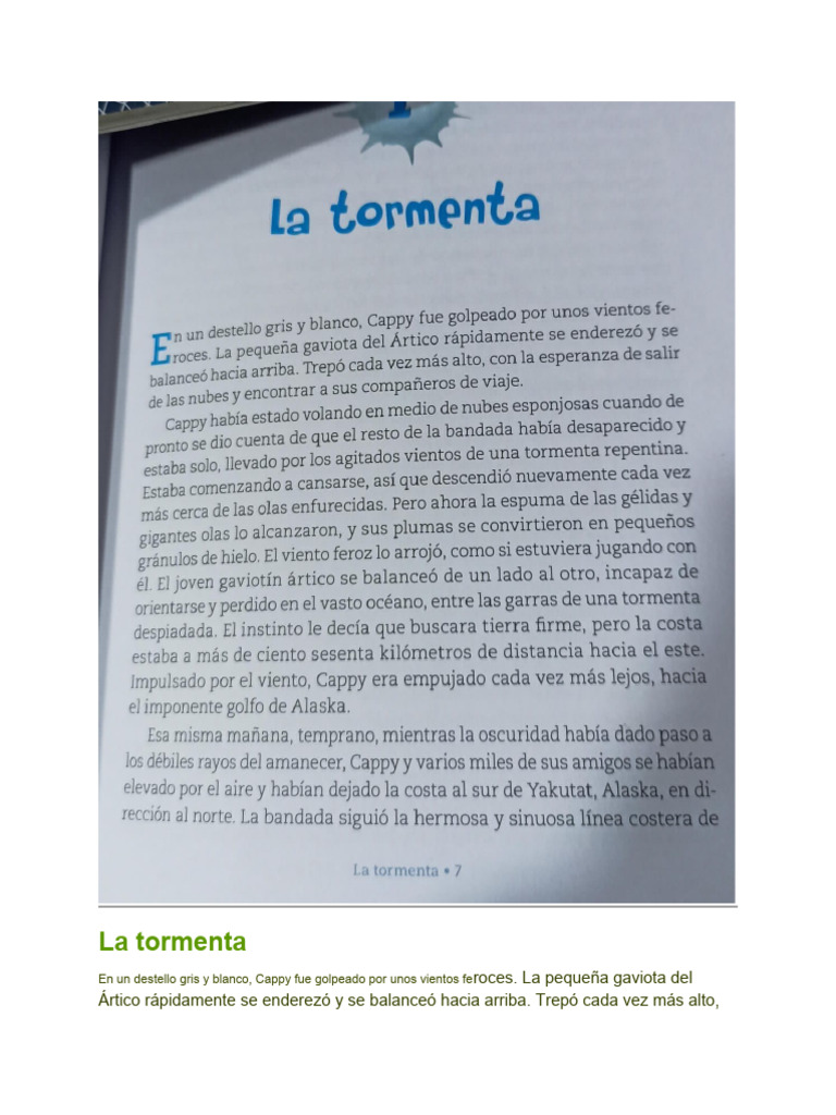 La Tormenta | PDF | Historia | Poesía