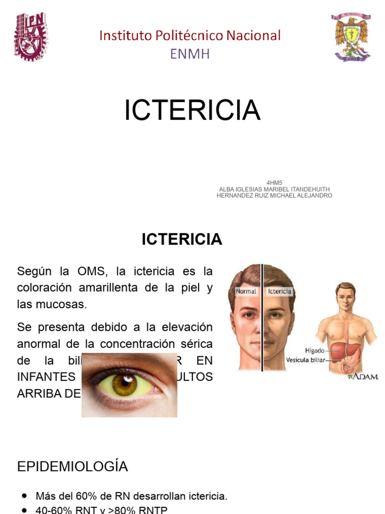 ICTERICIA | PDF | Bilis | Hepatocito