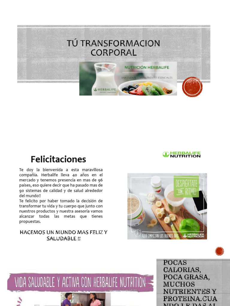 GUIA de INICIO | PDF | ensalada | Comida y bebida GUIA de INICIO | PDF | ensalada | Comida y bebida