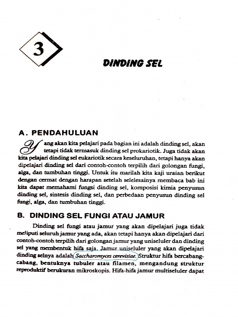 Dinding Sel Fungi, Alga, dan Tumbuhan | PDF | Sains & Matematika