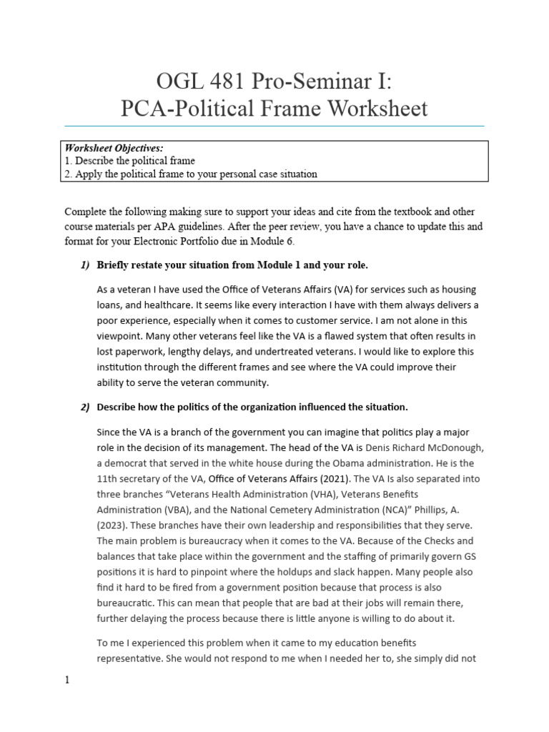 Analyzing VA Politics for Improvement | PDF | Veterans Health ...