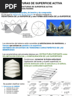 Estereo Estructuras | PDF | Braguero | Ingeniería de Edificación