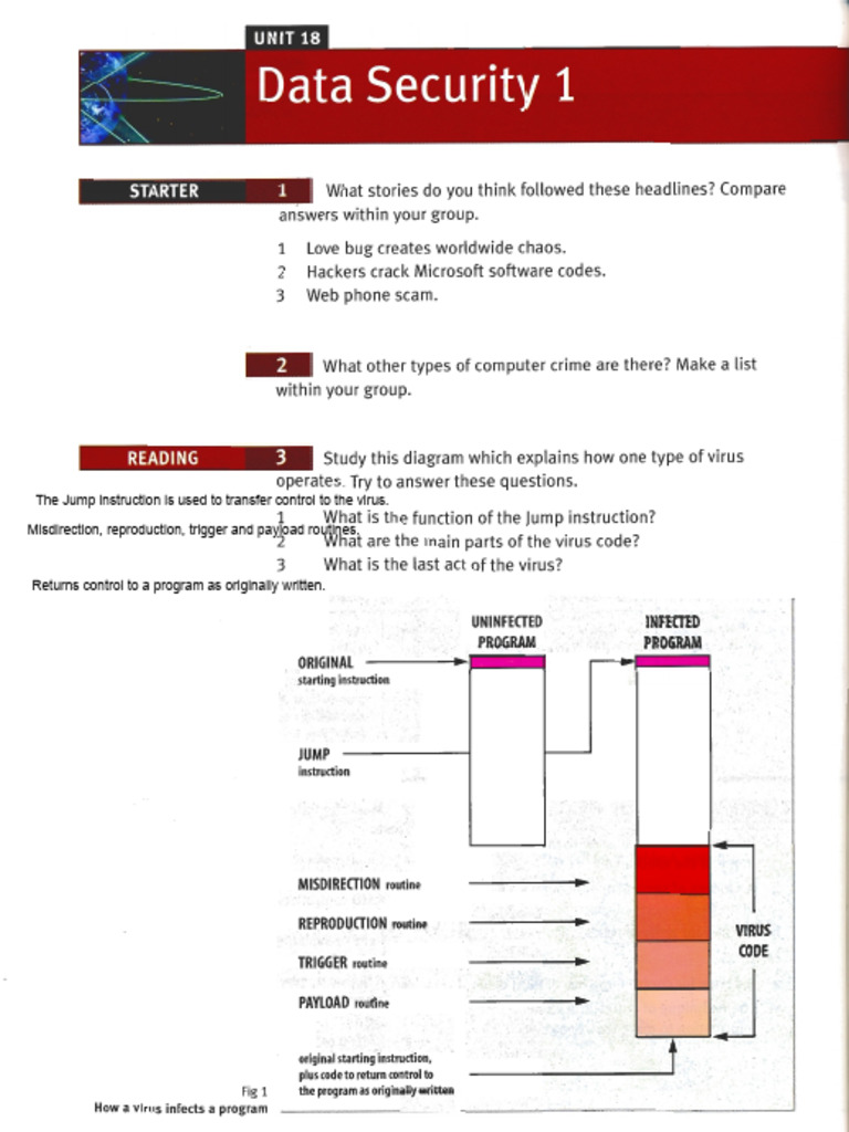 Lesson 2 | PDF | Computer Virus | Computer Science