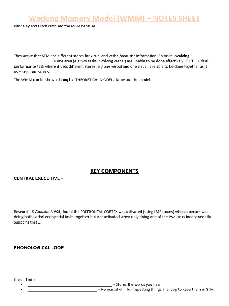 Working Memory Model - NOTES SHEET 2 | PDF | Psychological Concepts ...