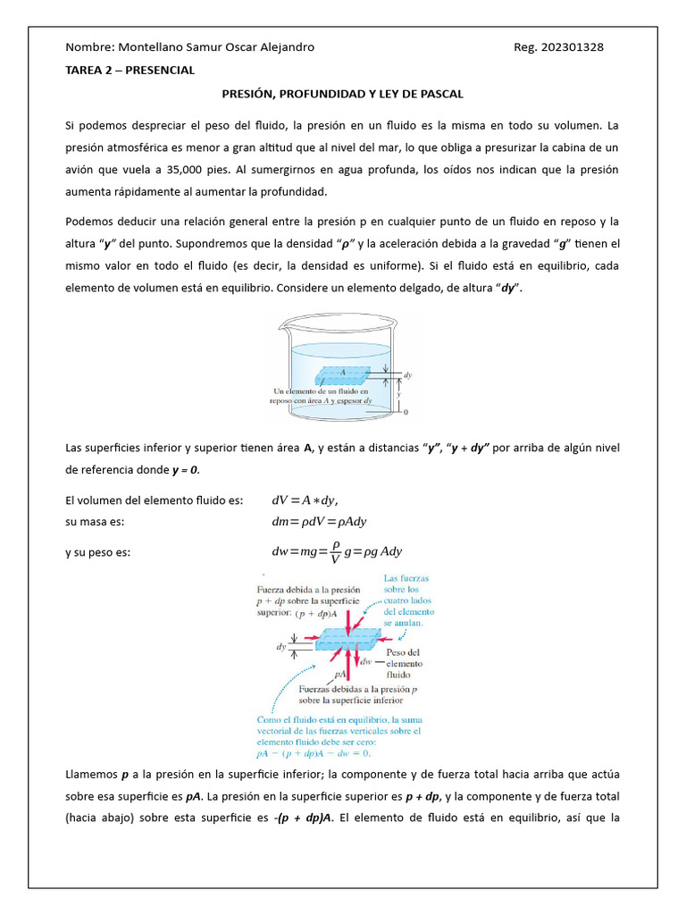 Tarea 2 - Presencial - Presión, Profundidad y Ley de Pascal | PDF | Presión | Fuerza