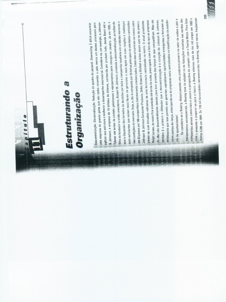 Texto Basico - Wagner e Hollenbeck | PDF