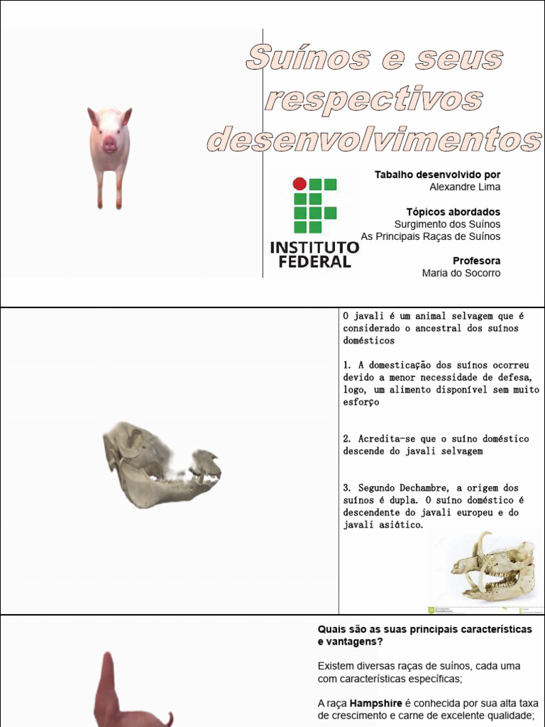 WPS Slides Quick Start Guide | PDF | Porco | Carne WPS Slides Quick Start Guide | PDF | Porco | Carne