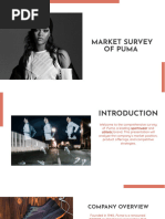 Puma's Business Strategy | PDF | Supply Chain | Sustainability